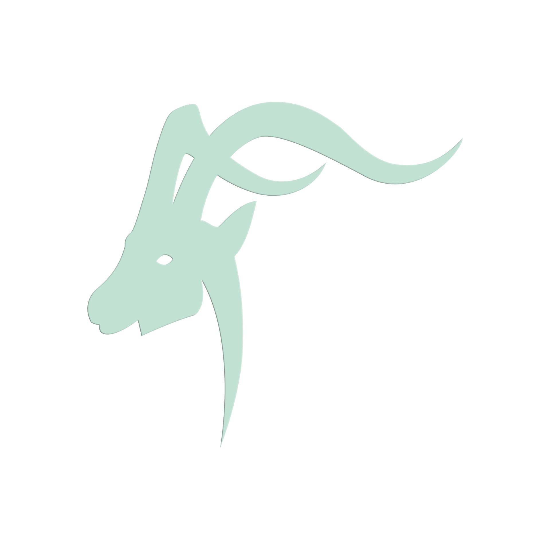 Capra Pyrenaica | La blogueuse des artisans locaux